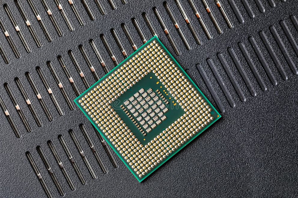 Holding a CPU stock photo. Image of laptop, unit, computer - 258036366
