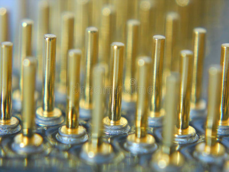 434 Gold Contacts Stock Photos - Free & Royalty-Free Stock Photos from ...