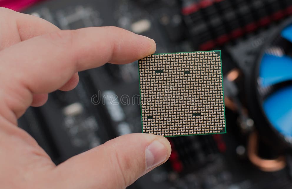 The Processor in the Person`s Hand Stock Photo - Image of micro ...