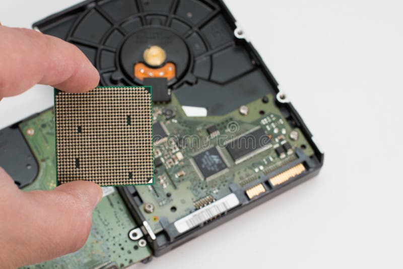 The Processor in the Person`s Hand Stock Image - Image of digital ...