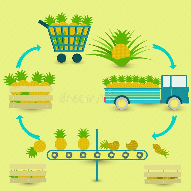 Processus De Fabrication De Jus De Fruit Et De Soja D'ananas ...