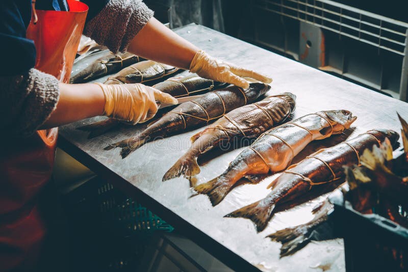 Processus D'usine De Traitement Du Poisson Photo stock - Image du ...
