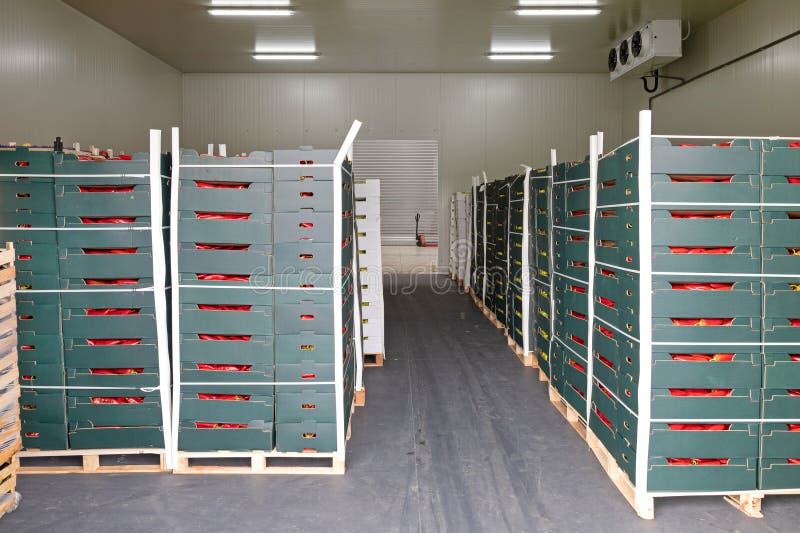 Produce Cold Storage stock image. Image of cold, storage - 286651441