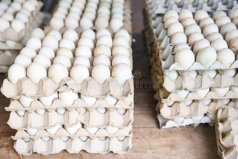 Produce Eggs in the Farm Organic - Fresh Eggs White Duck Egg Box Stock ...