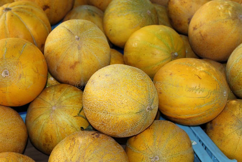 Produce, Local Food, Melon, Fruit Picture. Image: 113241536