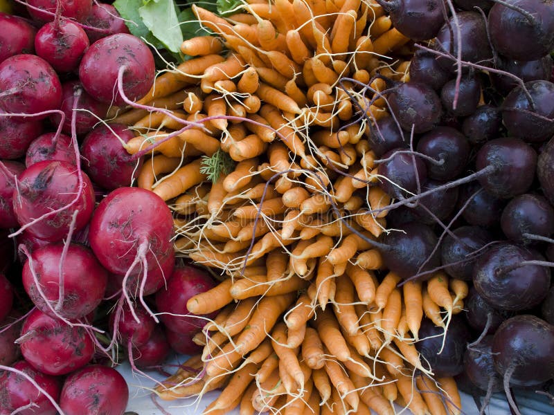 Green farm field stock image. Image of nature, organic - 12111859