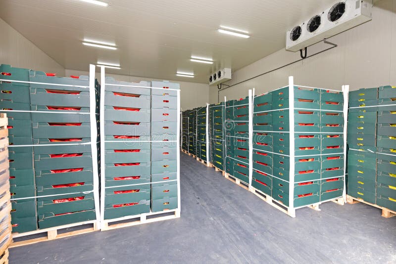 Produce at Pallets stock photo. Image of cardboard, vegetables - 200409436