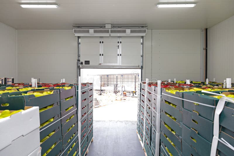 Produce Storage Unit stock photo. Image of fruit, produce - 163826340