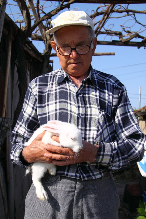 Producer with rabbit stock image. Image of eyes, wild - 8597097
