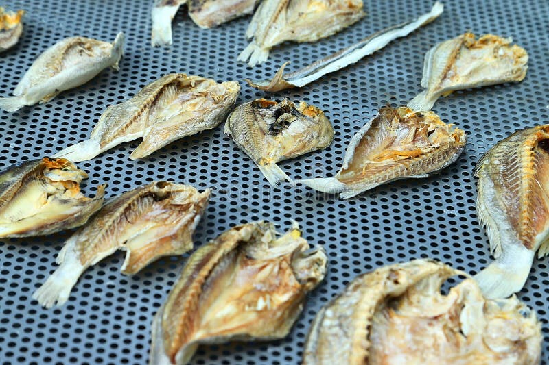 Foods and industry stock photo. Image of industry, industrial - 359945810