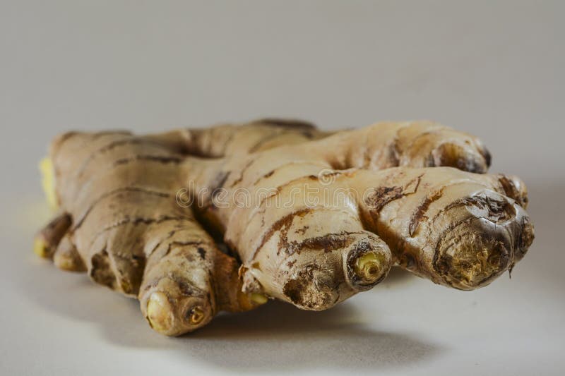 Product Close-up of a Ginger Root in Studio Stock Photo - Image of food ...