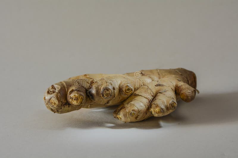Product Close-up of a Ginger Root in Studio Stock Image - Image of flat ...