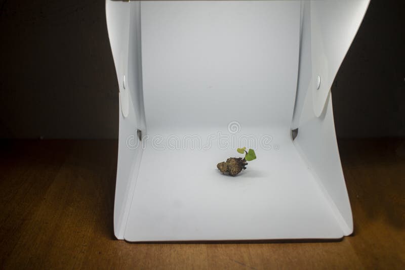 Product Photography Box. Foldable Product Photography Box or Light Box ...
