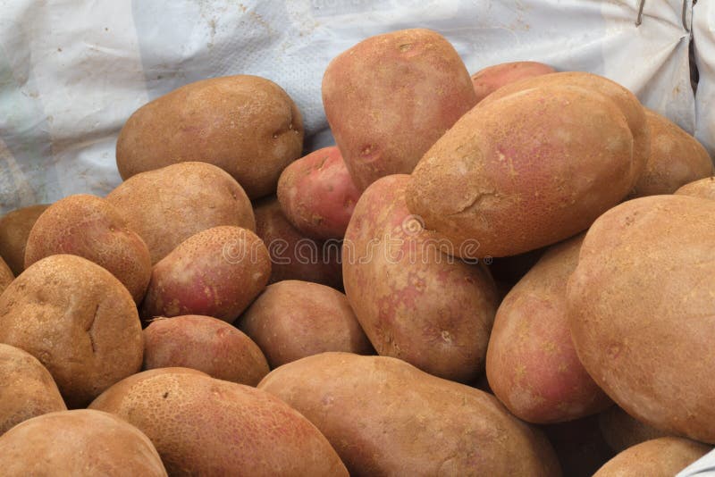 Potatoes in Ecological Packaging. Reusable Bags for Vegetables and ...