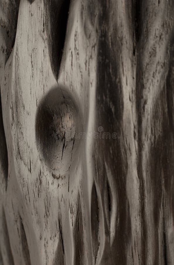 The Product of the Roots of Oak, the Texture of Oak. Stock Photo ...