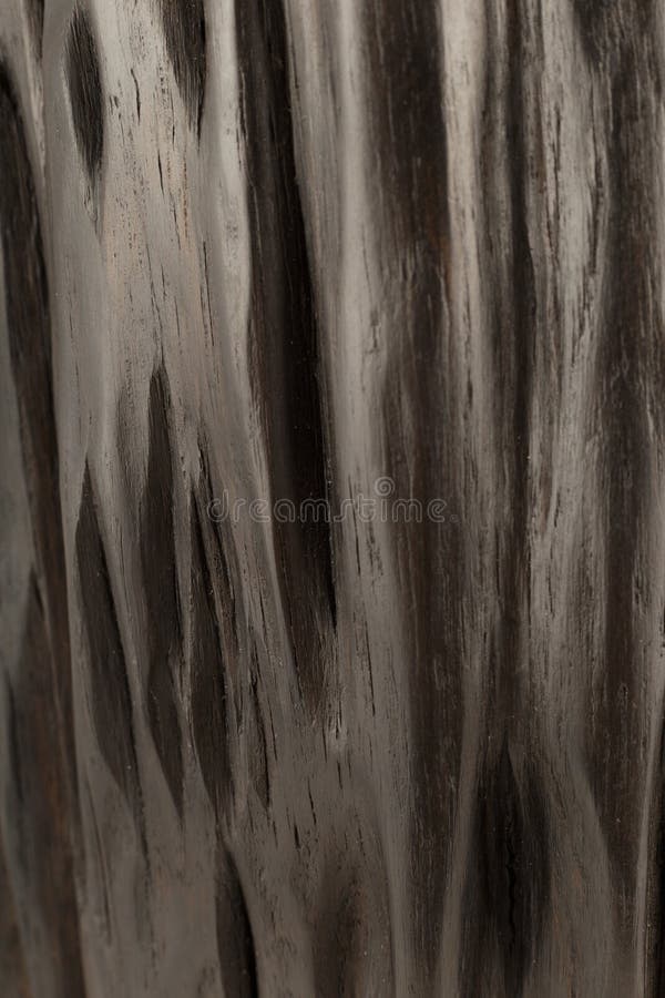 The Product of the Roots of Oak, the Texture of Oak. Stock Photo ...