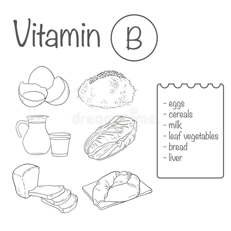 Producten Die Vitamine B Bevatten Stock Illustratie - Illustration of ...
