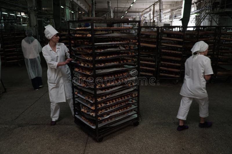Bread making process. editorial stock image. Image of homemade - 100973769