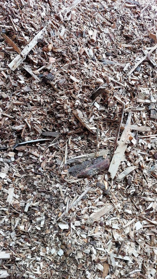 Production of Biofuel Utilizing Wood Chips in an Industrial Facility ...