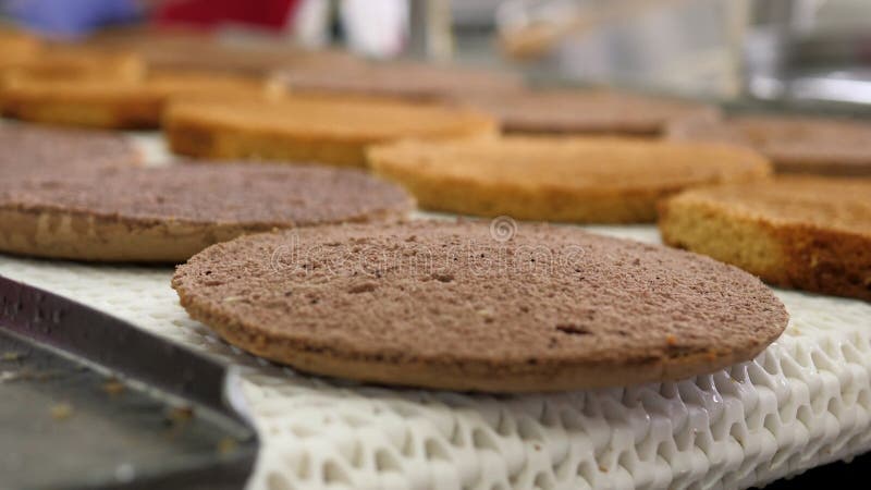Production of Confectionery Products. Cakes on Automatic Conveyor Belt ...
