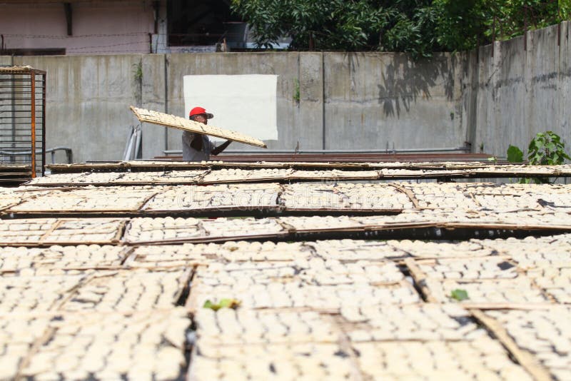 Production of crackers editorial stock photo. Image of light - 52129143