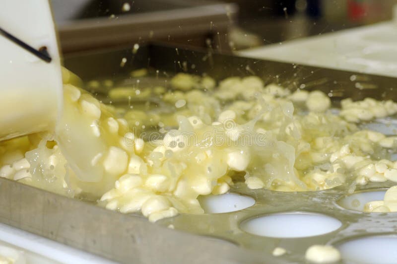 The Production of Cream Cheese Stock Image - Image of maker, cheese ...