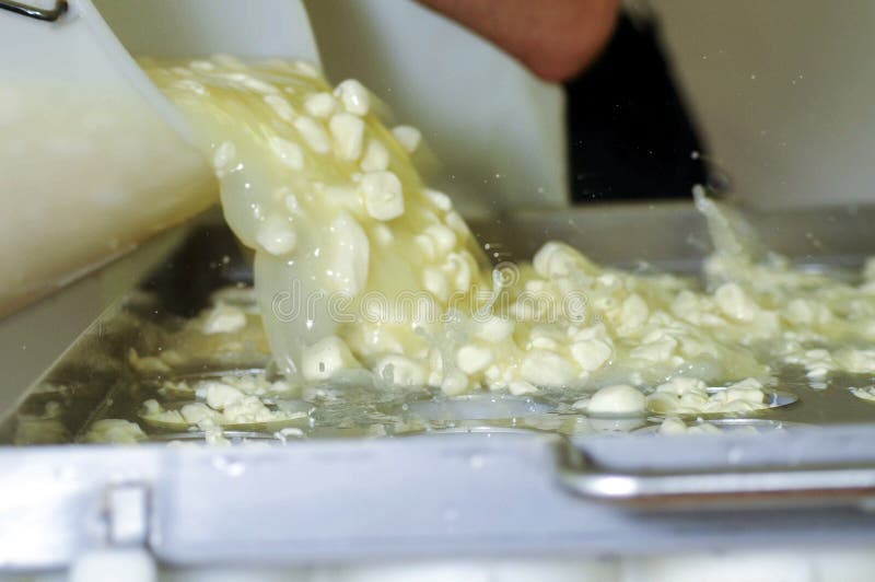 The Production of Cream Cheese Stock Image - Image of consume, cycle ...