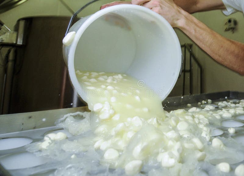 The Production of Cream Cheese Stock Image - Image of budget, food ...