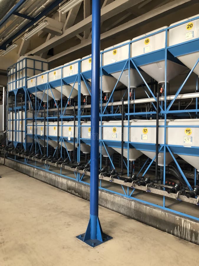 Production Equipment on a Big Factory Stock Photo - Image of factory ...