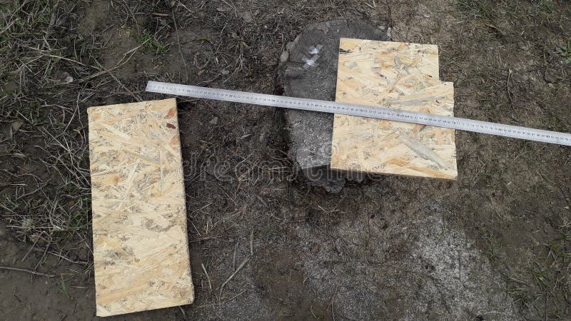 Production and Installation of Birdhouse for Birds on a Tree Stock ...