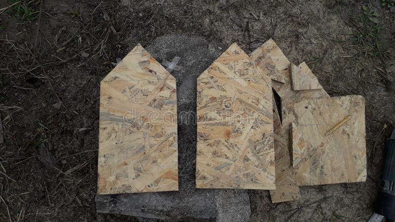 Production and Installation of Birdhouse for Birds on a Tree Stock ...