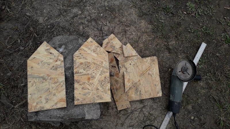 Production and Installation of Birdhouse for Birds on a Tree Stock ...