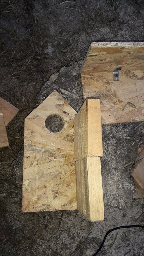 Production and Installation of Birdhouse for Birds on a Tree Stock ...