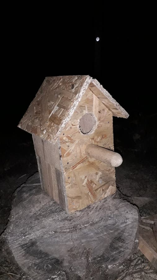 Production and Installation of Birdhouse for Birds on a Tree Stock ...