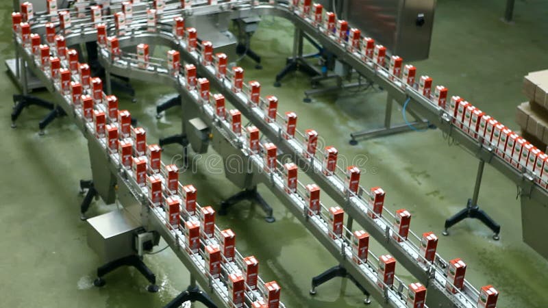 Production Line and Cartons Being Transported by Conveyor Stock Footage ...