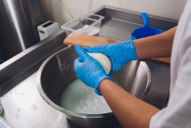 Production Process of Mozzarella Cheese, Cheese Making Process. Stock ...
