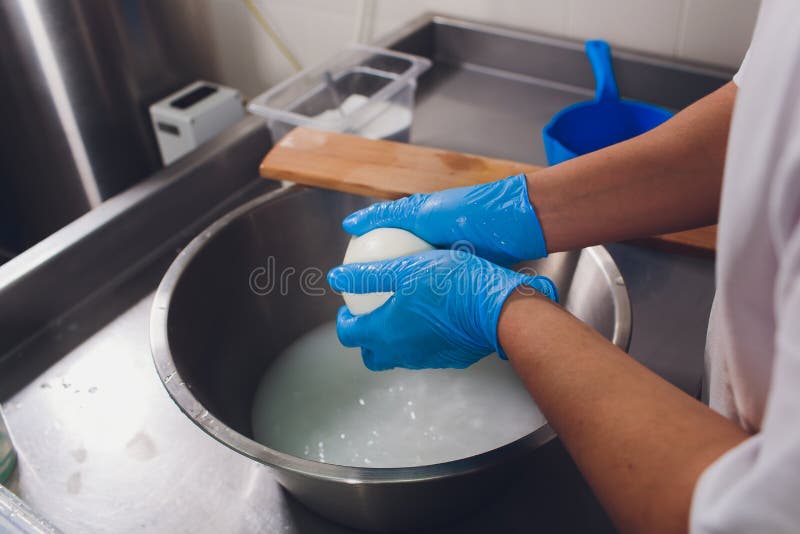 Production Process of Mozzarella Cheese, Cheese Making Process. Stock ...