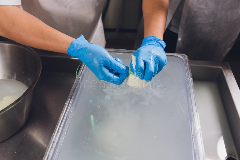 Production Process of Mozzarella Cheese, Cheese Making Process. Stock ...