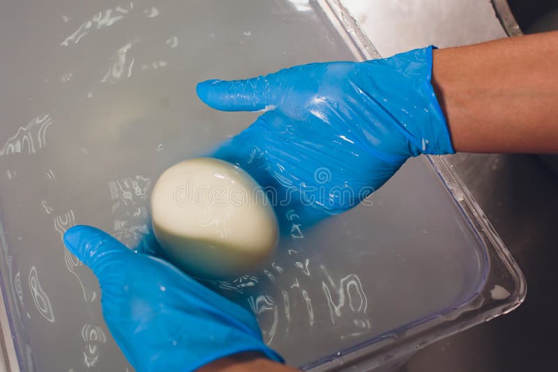 Production Process Of Mozzarella Cheese, Cheese Making Process. Stock ...