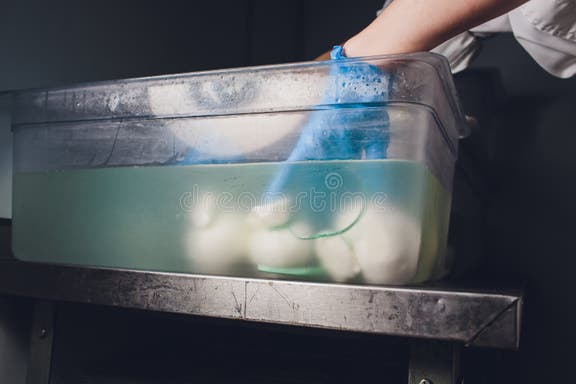 Production Process of Mozzarella Cheese, Cheese Making Process. Stock ...