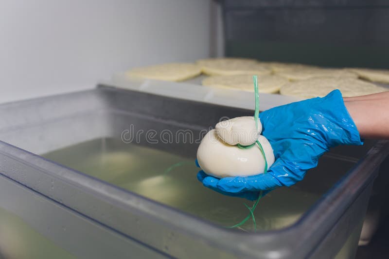 Production Process of Mozzarella Cheese, Cheese Making Process. Stock ...