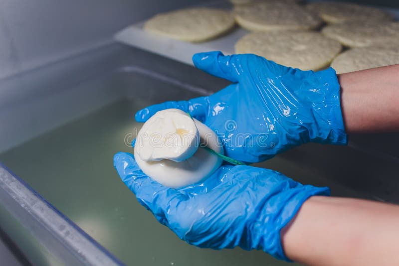 Production Process of Mozzarella Cheese, Cheese Making Process. Stock ...