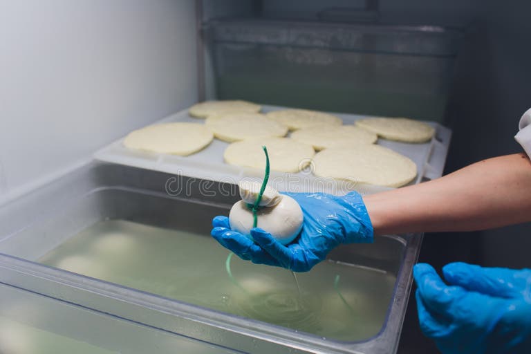 Production Process of Mozzarella Cheese, Cheese Making Process. Stock ...