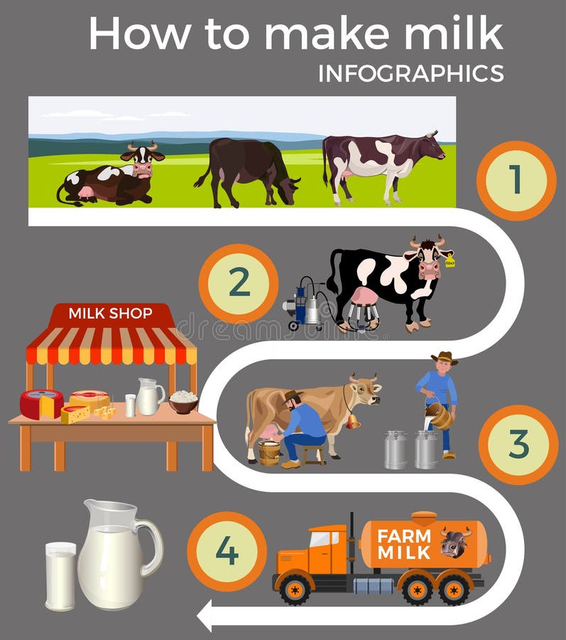 Milk production process stock vector. Illustration of agriculture ...