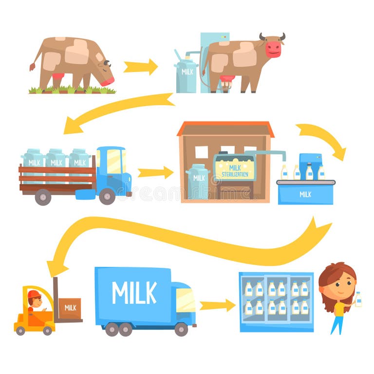 Milk Production Process Stock Illustrations – 2,358 Milk Production ...