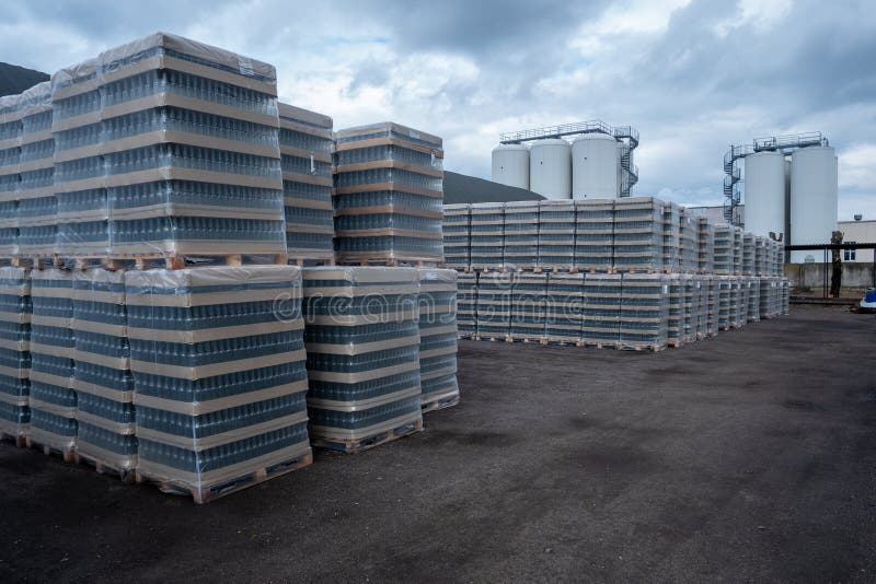 Production Racks of Packaging for Empty Beer Bottles at a Brewery ...