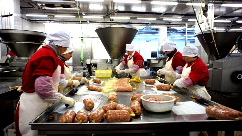 Fish processing factory stock image. Image of females - 6773057