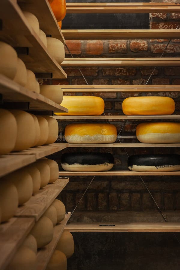 Production Shelves of a Cheese Stock Photo - Image of parmesan, hard ...