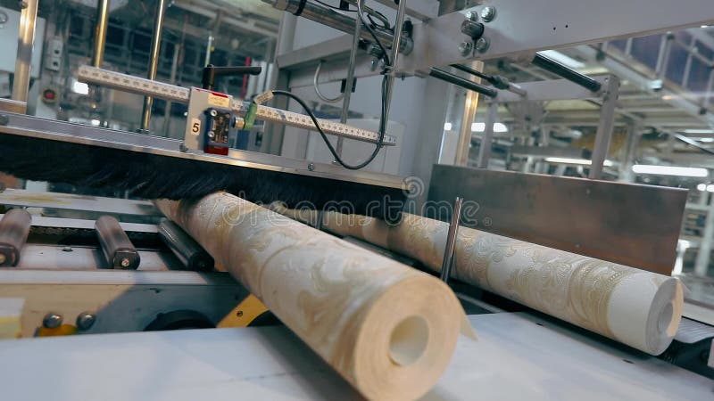 Production of Wallpaper, a Roll of Wallpaper on a Conveyor Line, the ...