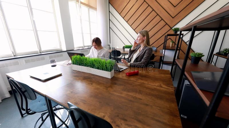 Productive Workspace with Two Women Collaborating on Laptops in a ...